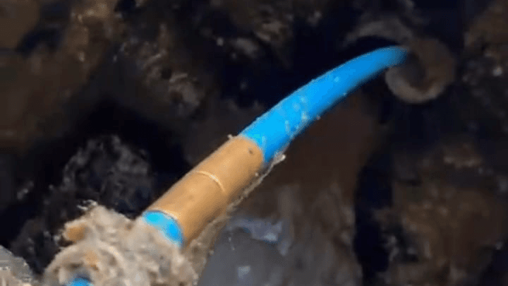 Mastering Rodding Drains: A Practical Guide for Quick Blockage Relief